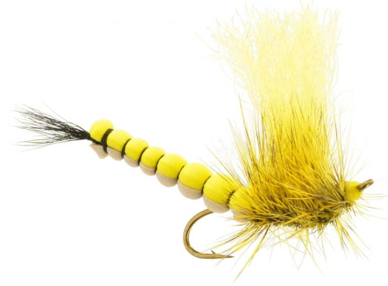 Best Dry Fly Patterns | CATCH Fly Fishing | Billings, MT